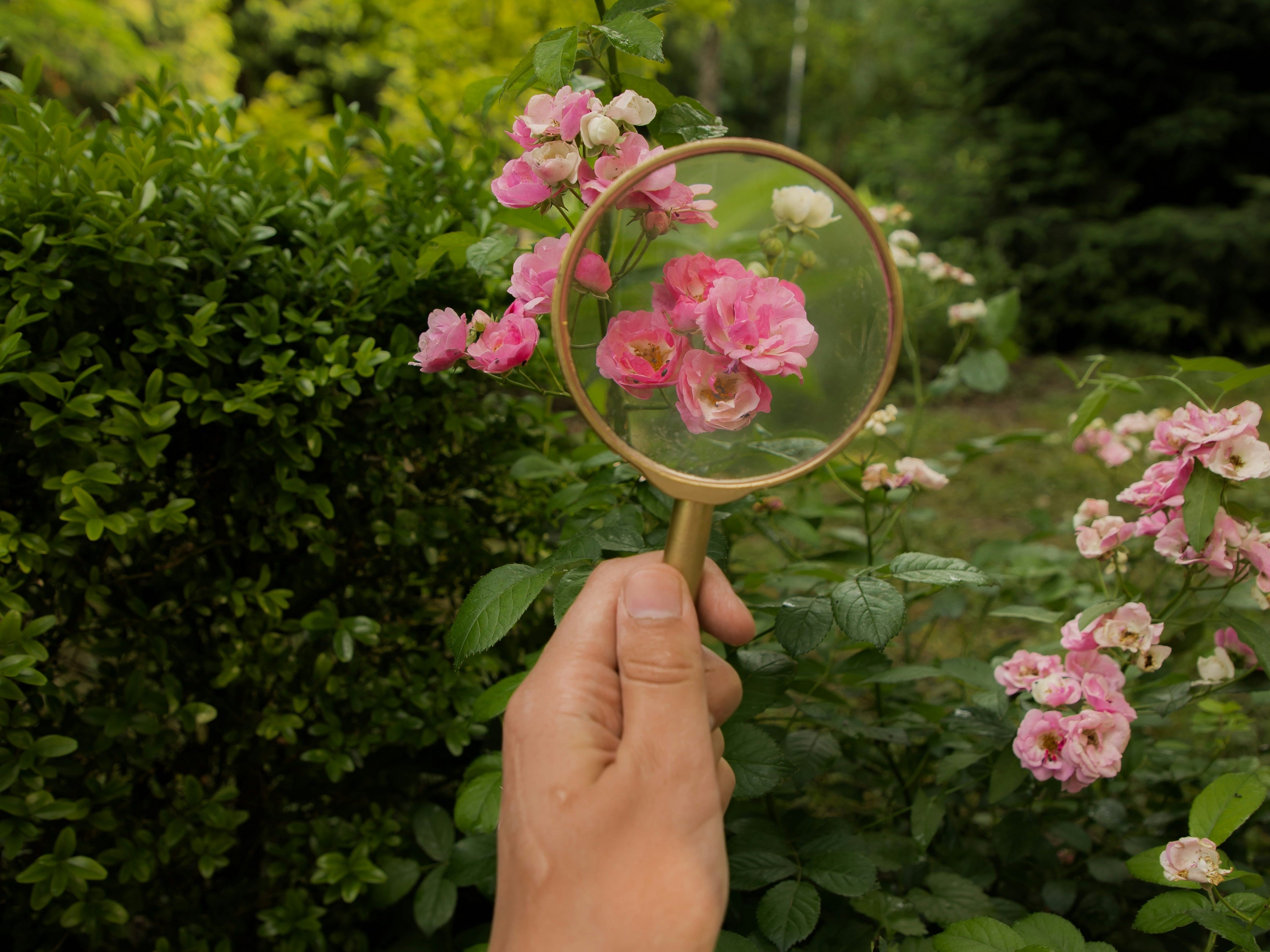 Three tips for solving problems like a forensic anthropologist