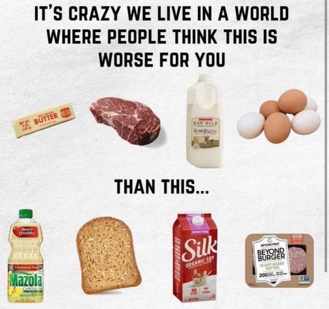 REAL FOODsteria: Best Food Pyramid Memes