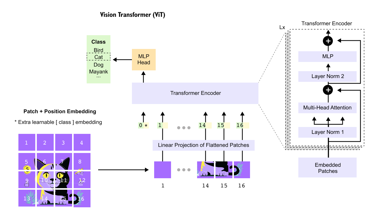 An beginners introduction to Swin transformer