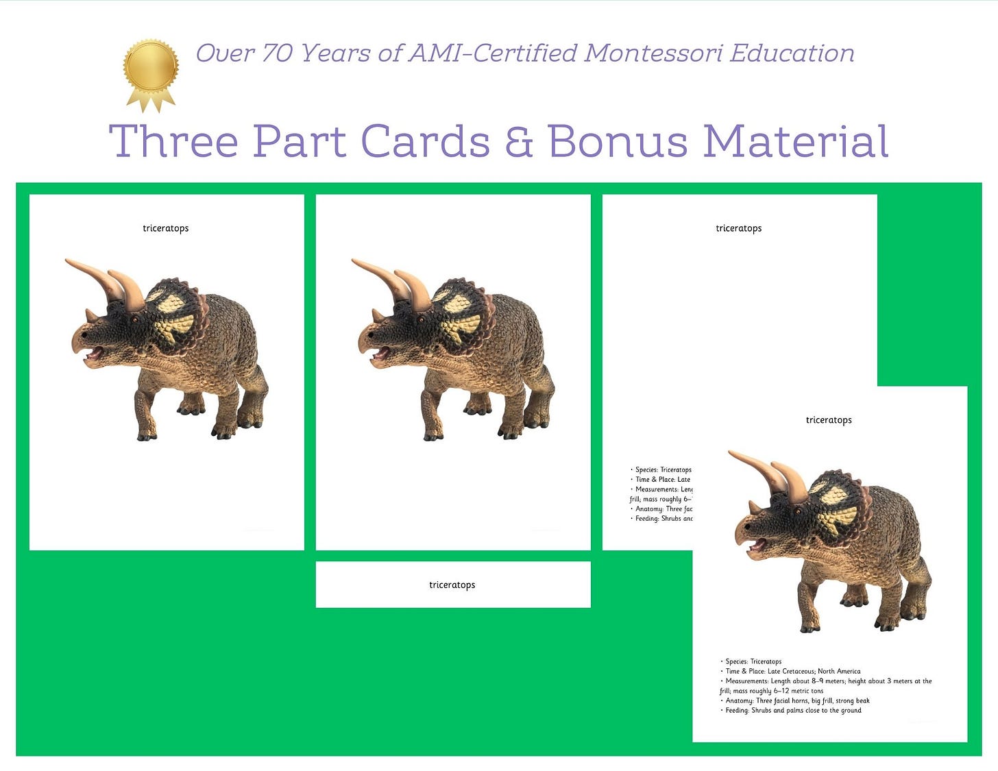 Montessori Dinosaur Cards for Curious Young Paleontologists