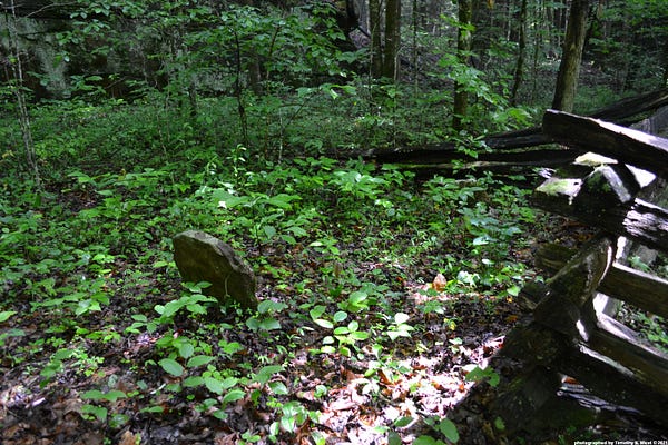 Independent Herald | Substack