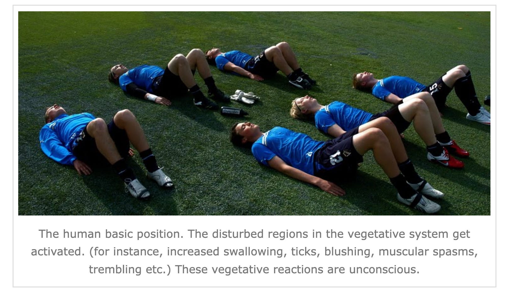 Vegetative Training: Self-Regulation, Contradiction, and the Expansion ...