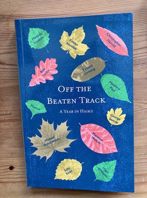 On Off the Beaten Track - Matthew Paul - poetry Substack