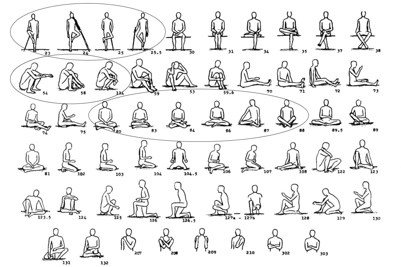 Squatting versus sitting: cultural differences in toilet postures