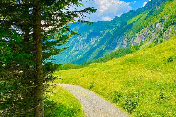 The Half Marathoner | Terrell Johnson | Substack