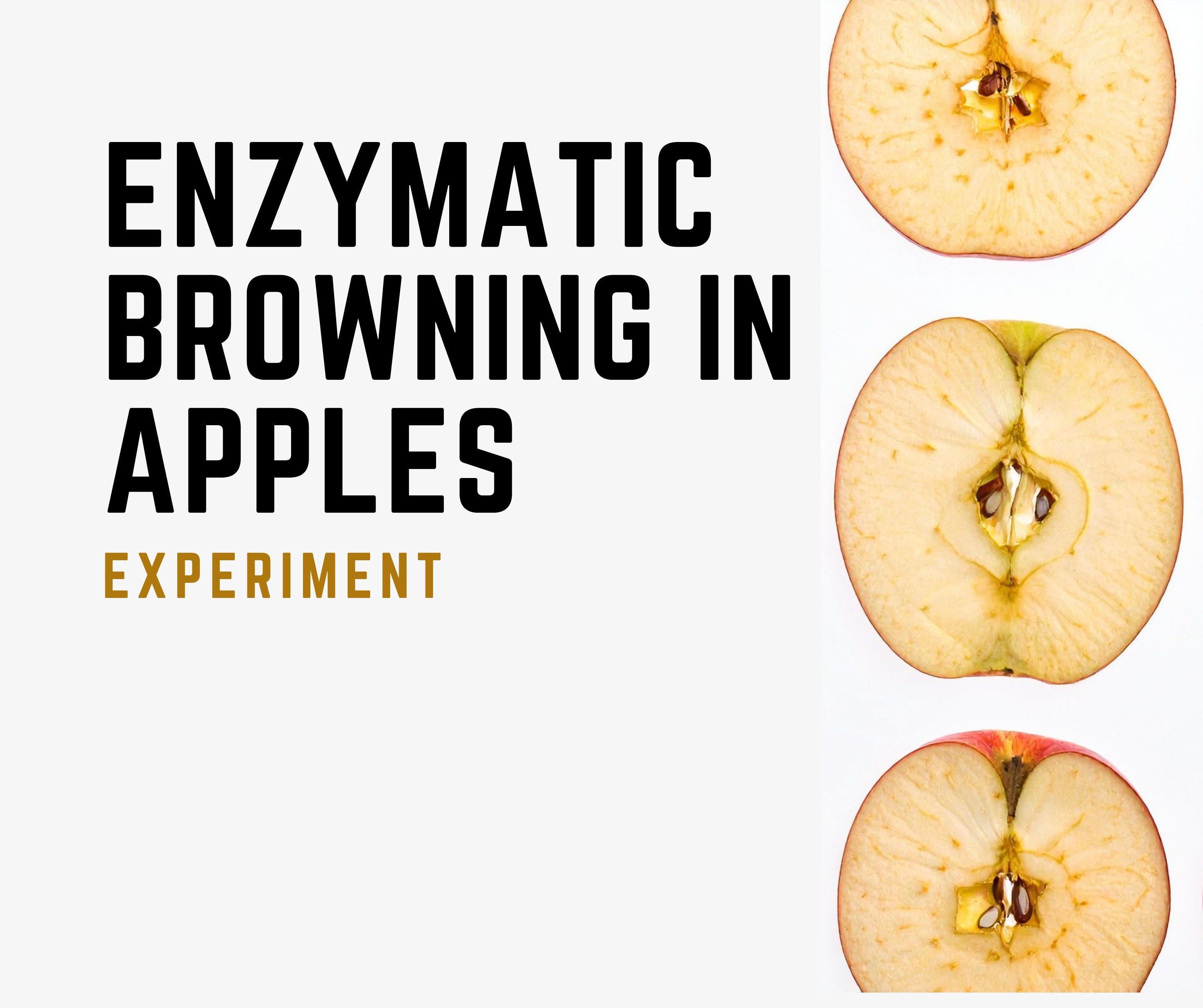 Why Apples Turn Brown and How to Teach the Science