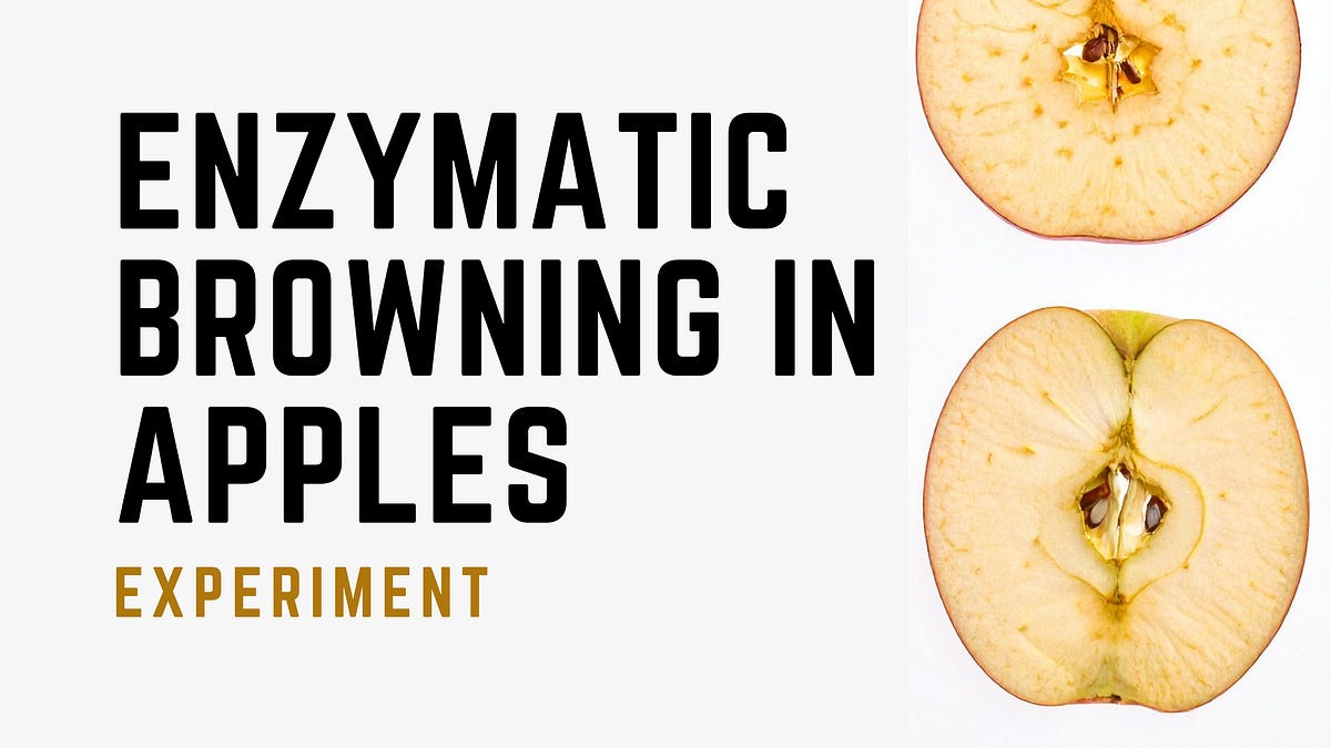 Why Apples Turn Brown and How to Teach the Science