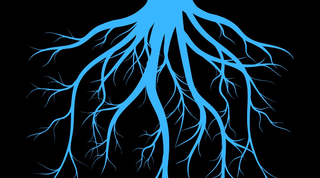 18. Grow Roots - by Aaron Dunn / Power Acronym