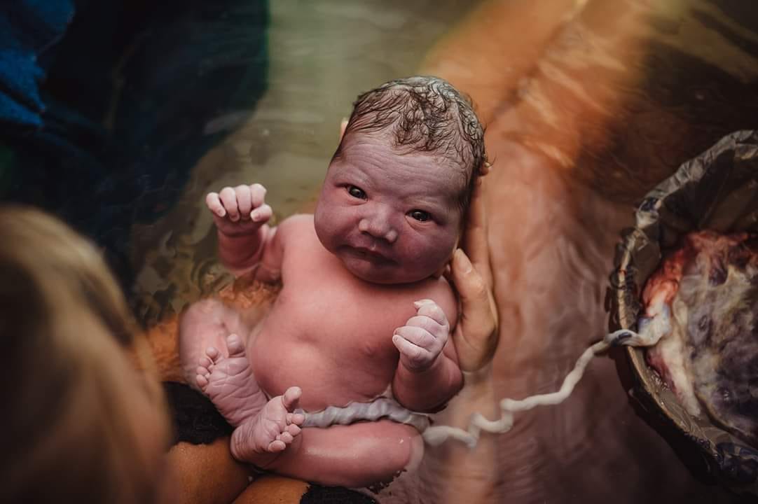 Vitamin C Babies! - by Theo Farmer