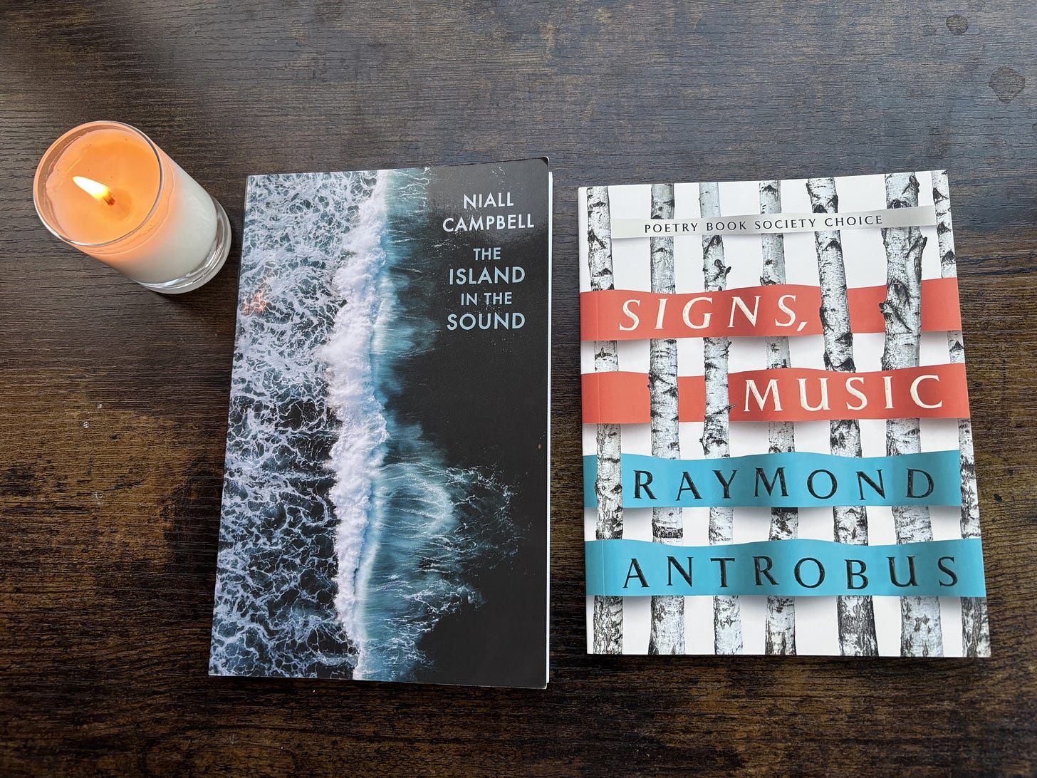 polly clark substack