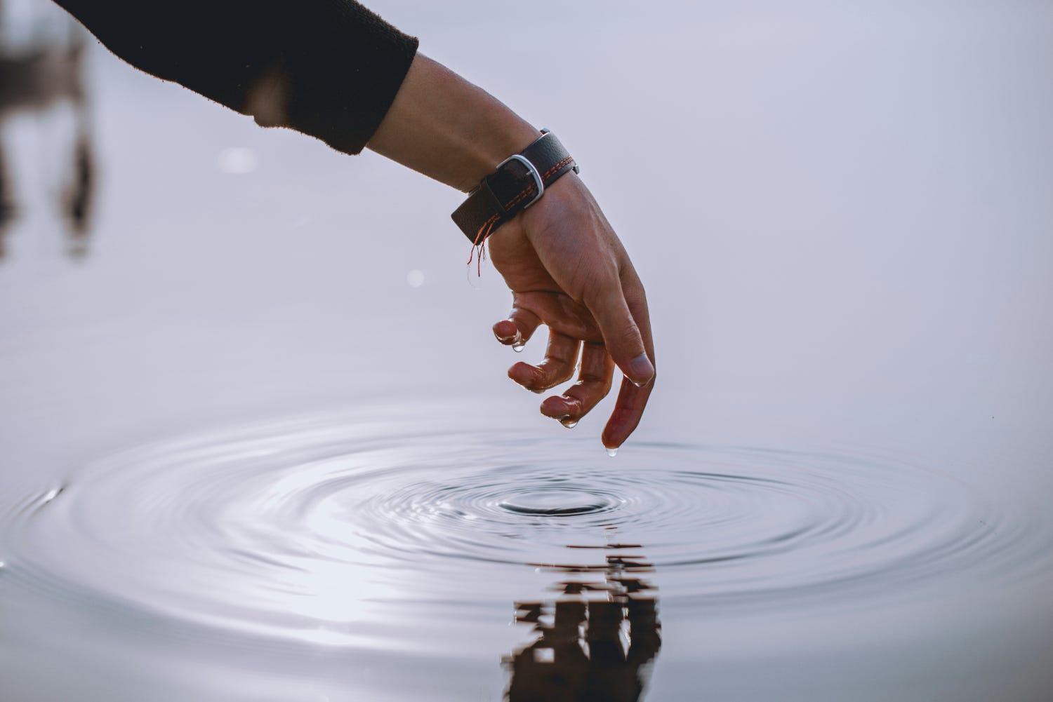 The Ripples of Leadership - by Grace Judson