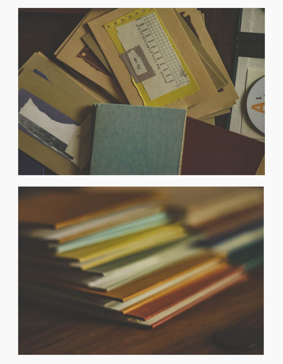 garadinervi : repertori – bulletin : weekly recap