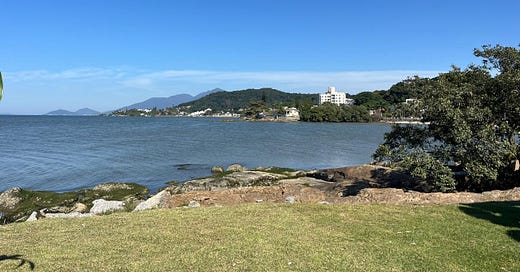 Jornal do Veneno | Juliana Gomes | Substack