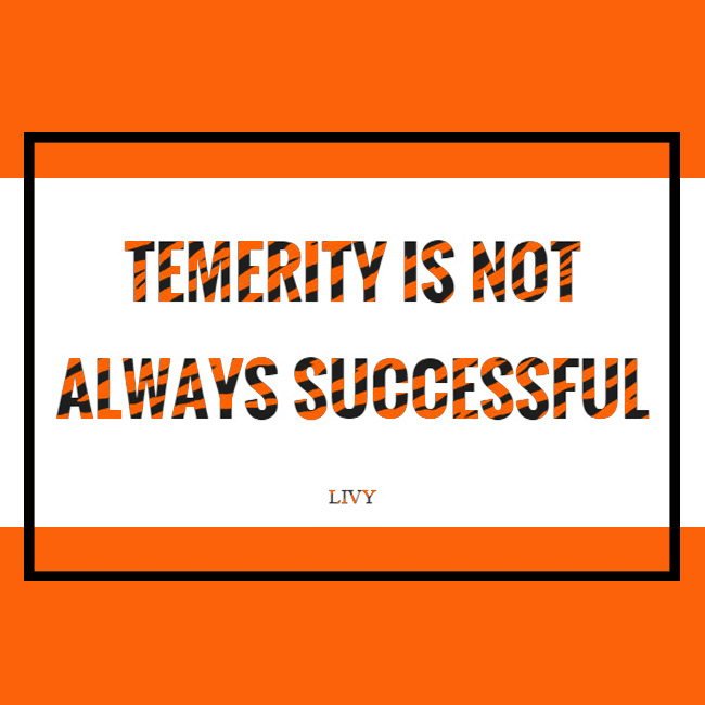 Word of the Day: TEMERITY - by Mike Bergin - Roots2Words