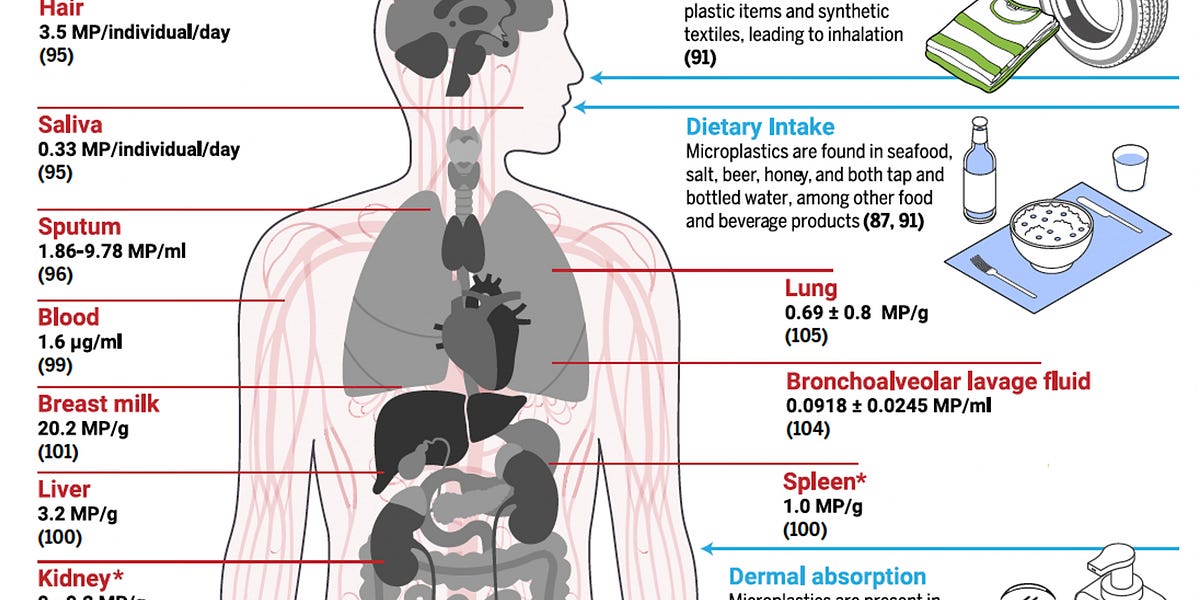 The Microplastic Concerns Elevate—To the Brain
