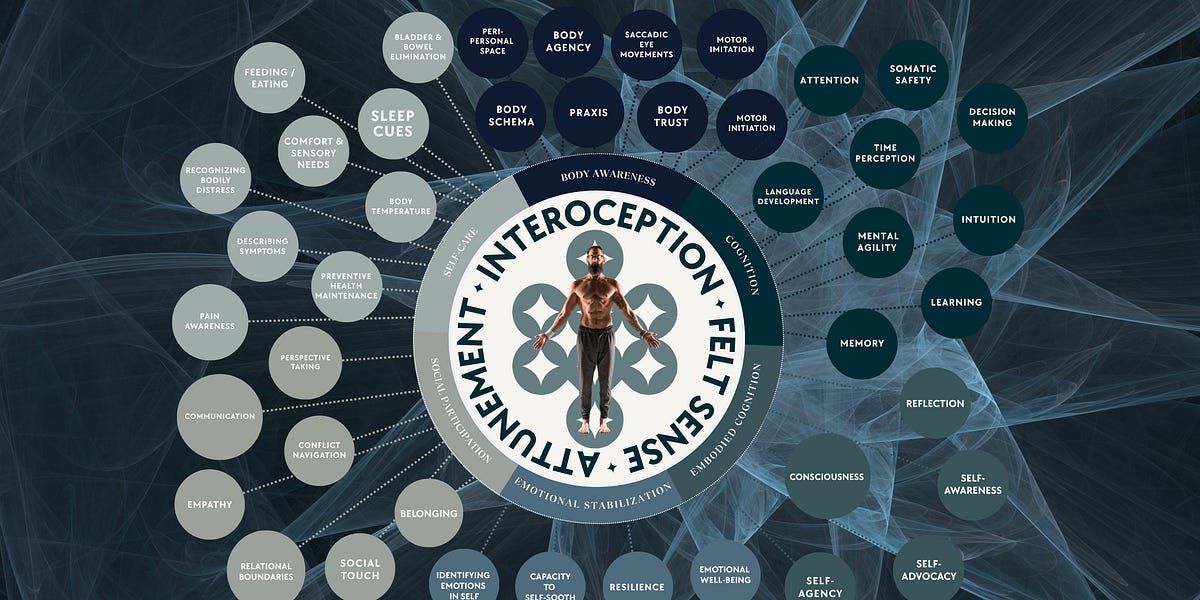 Comments - Interoception and Bodily Literacy: What We Were Never Taught ...