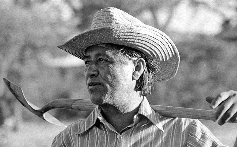 César Chávez: Champion of Labor Rights - The Newman Files