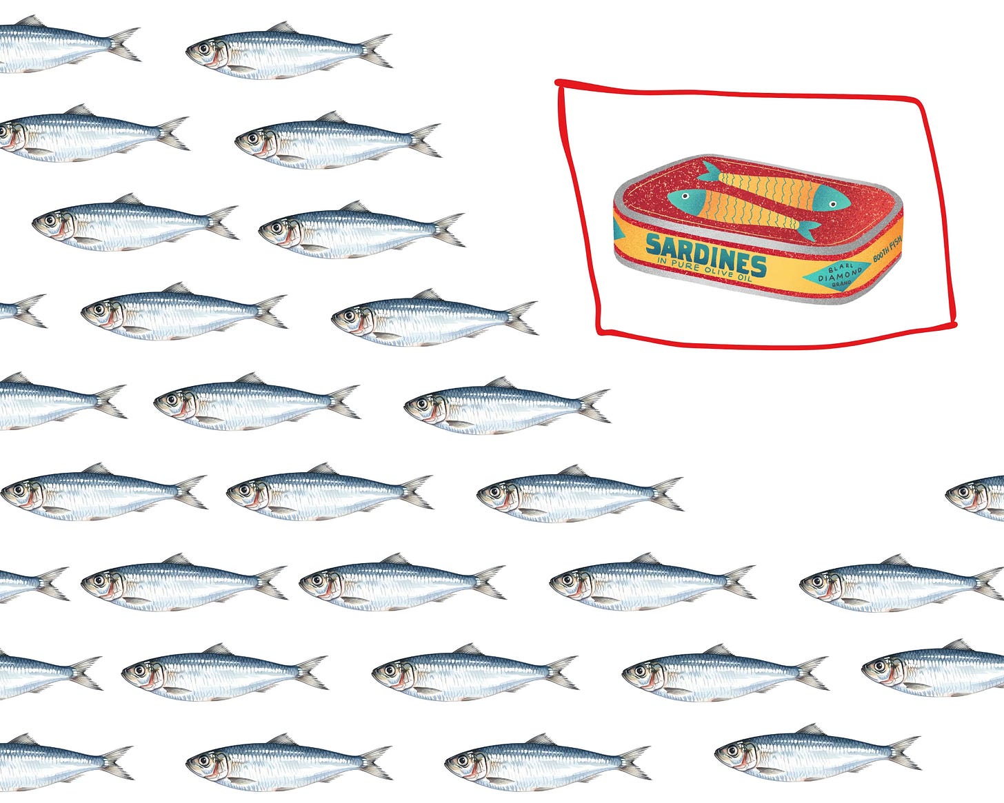 Dexter, Renaissance beauty and a sardine spotlight