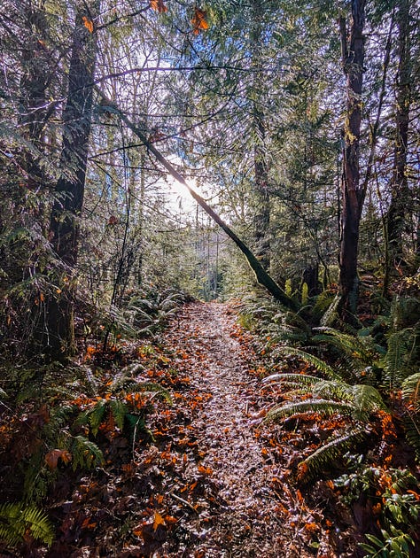 Storm Season - by Megan Elizabeth - Foraged Threads