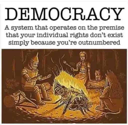 Ann Barnhardt Meme Barrage - Edwin’s Newsletter #1