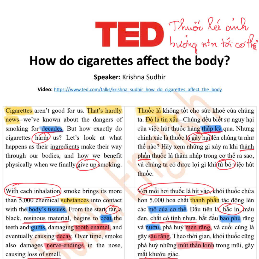 Luyện Nghe - Hiểu Sâu - Tăng Vốn Từ IELTS Thần Tốc Với TED Talks Song Ngữ