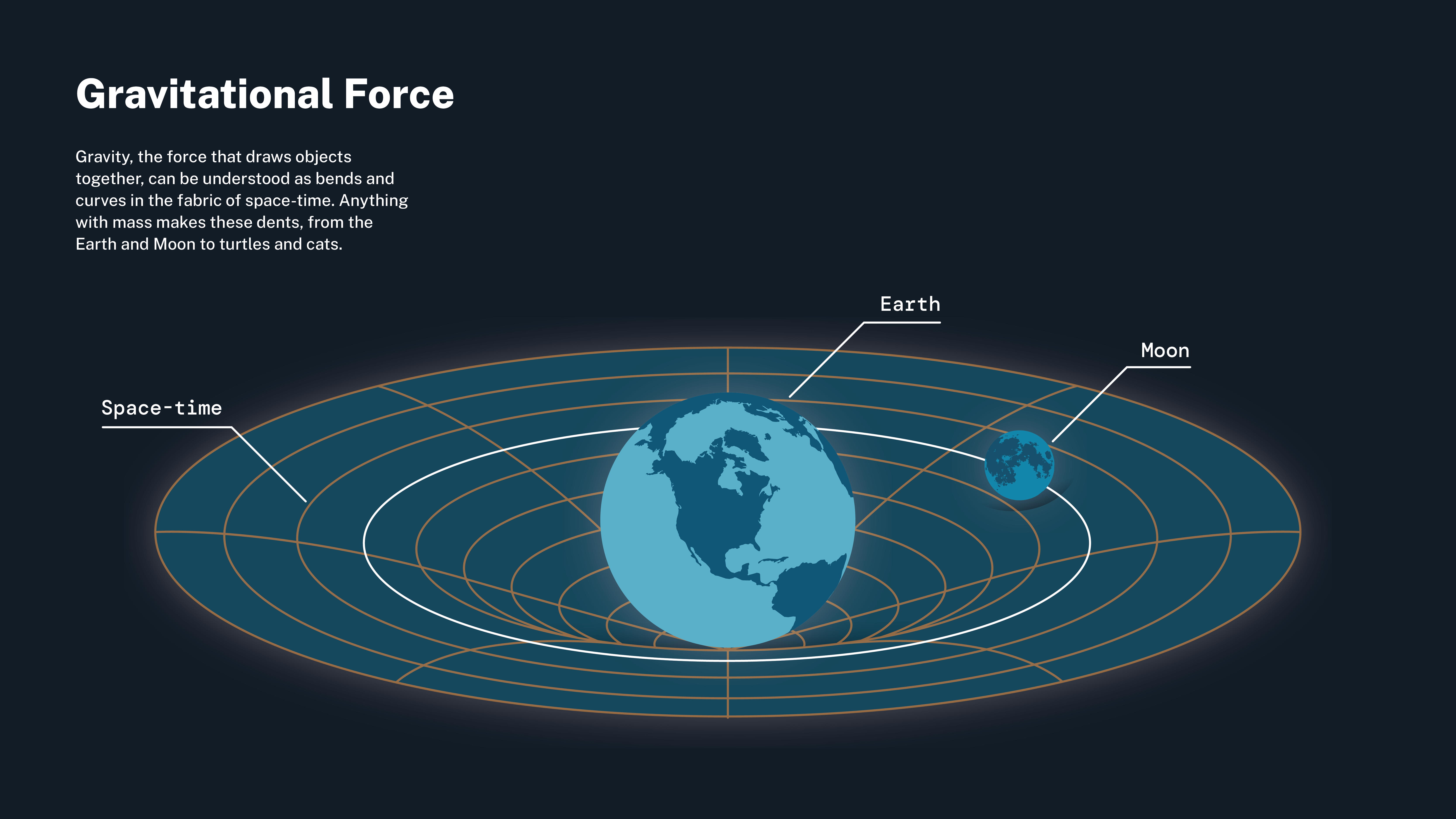 The Four Fundamental Forces That Shape Our Reality
