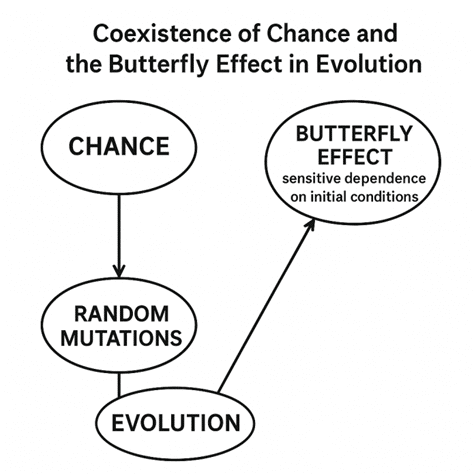 Sound of Thunder: Can Chance and the Butterfly Effect Coexist?