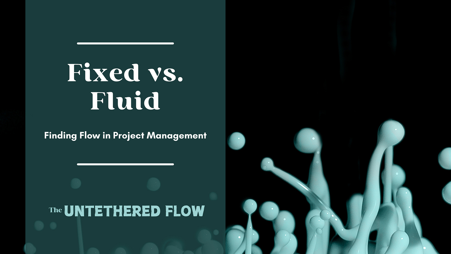 Fixed vs. Fluid - by Jaimey Walking Bear