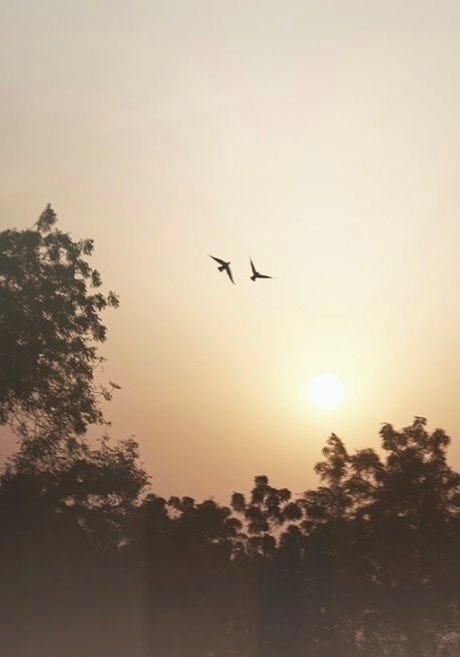 The Heart of Stillness | Benjamin James Freeman | Substack