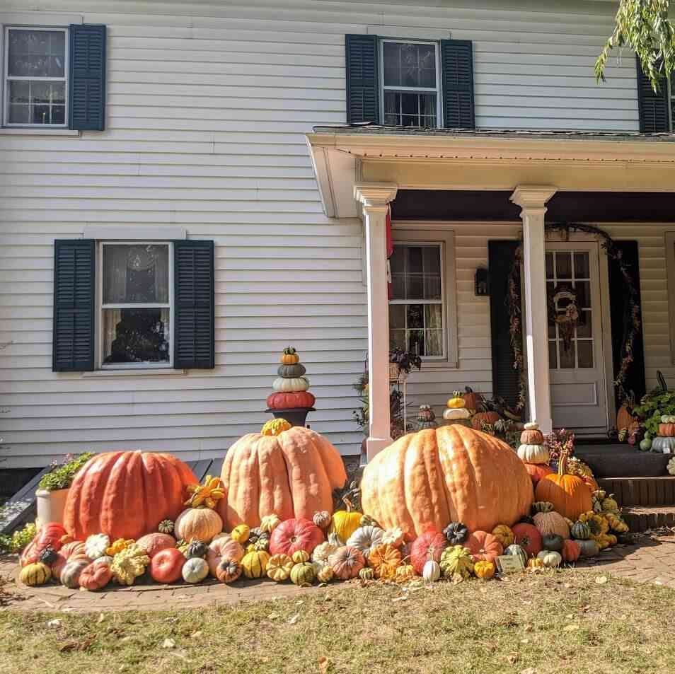 Pumpkin Patches Near Rochester, NY