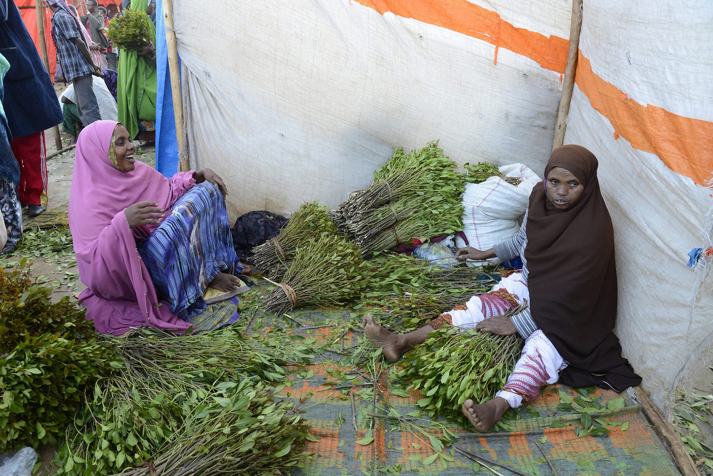 The Green Leaf of the Horn of Africa: Khat, Culture, and Controversy