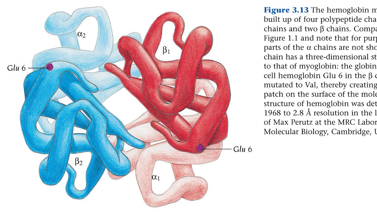 proteins are complex molecules