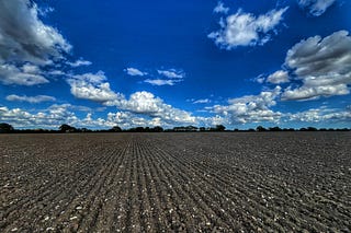 Colin Howey | The Fallible Flâneur | Substack