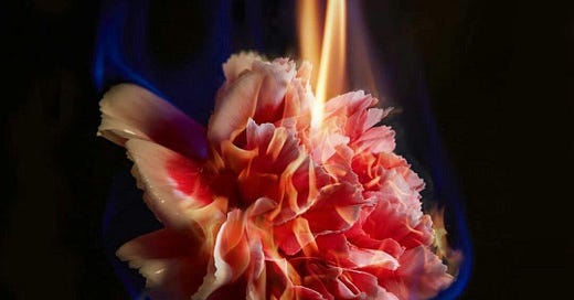 Inclusive Mind Matters | Substack