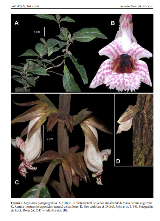 Part 4-Still Here / Almost Gone: Earth’s Species Ledger for 2025 ...