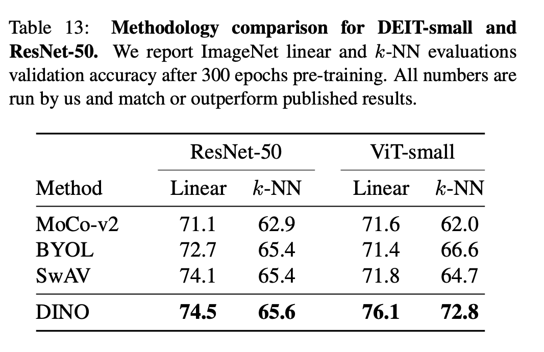 DINO Explained: How Self-Supervised Learning Unlocked Vision Transformers