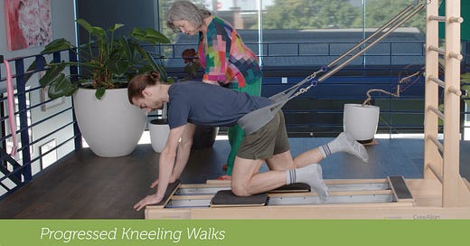 Body Organics Education- MoveMent | Body Organics - MoveMent | Substack