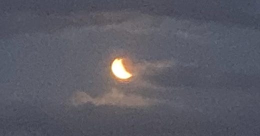 Lia Leendertz | Substack