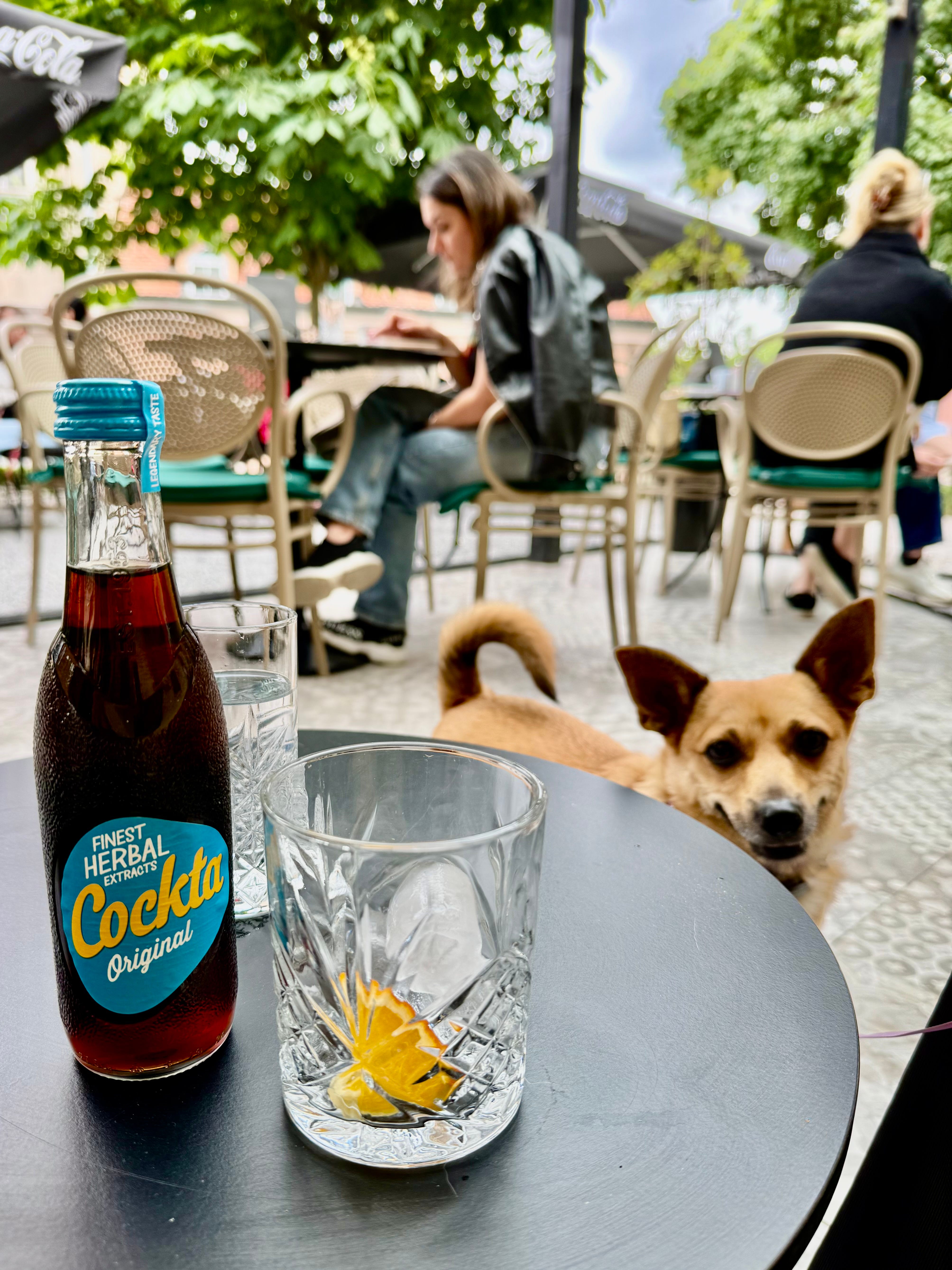 The Caffe Bar - by Elizabeth Smith - Zagreb Life