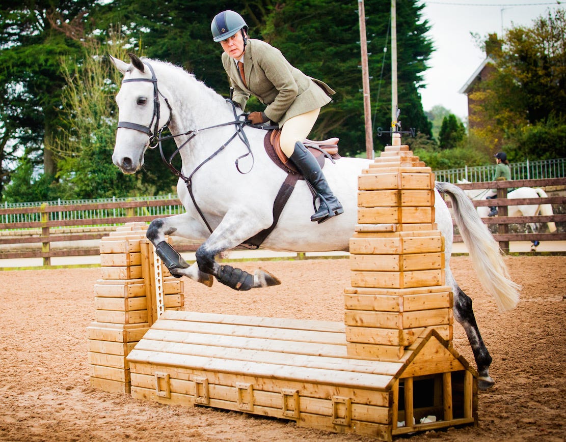 Stiff competition in Pony Working Hunter Championship at Hagans Croft