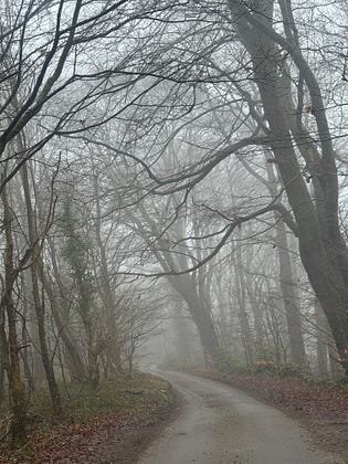 LetsGetIntoIt2025 (@letsgetintoit2025): "Update: we have a name and ...