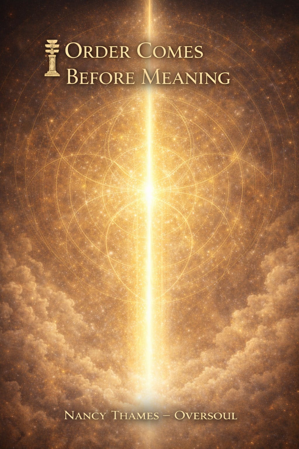 Order Comes Before Meaning - Nancy Thames