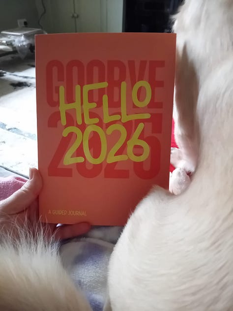 goodbye hello journal