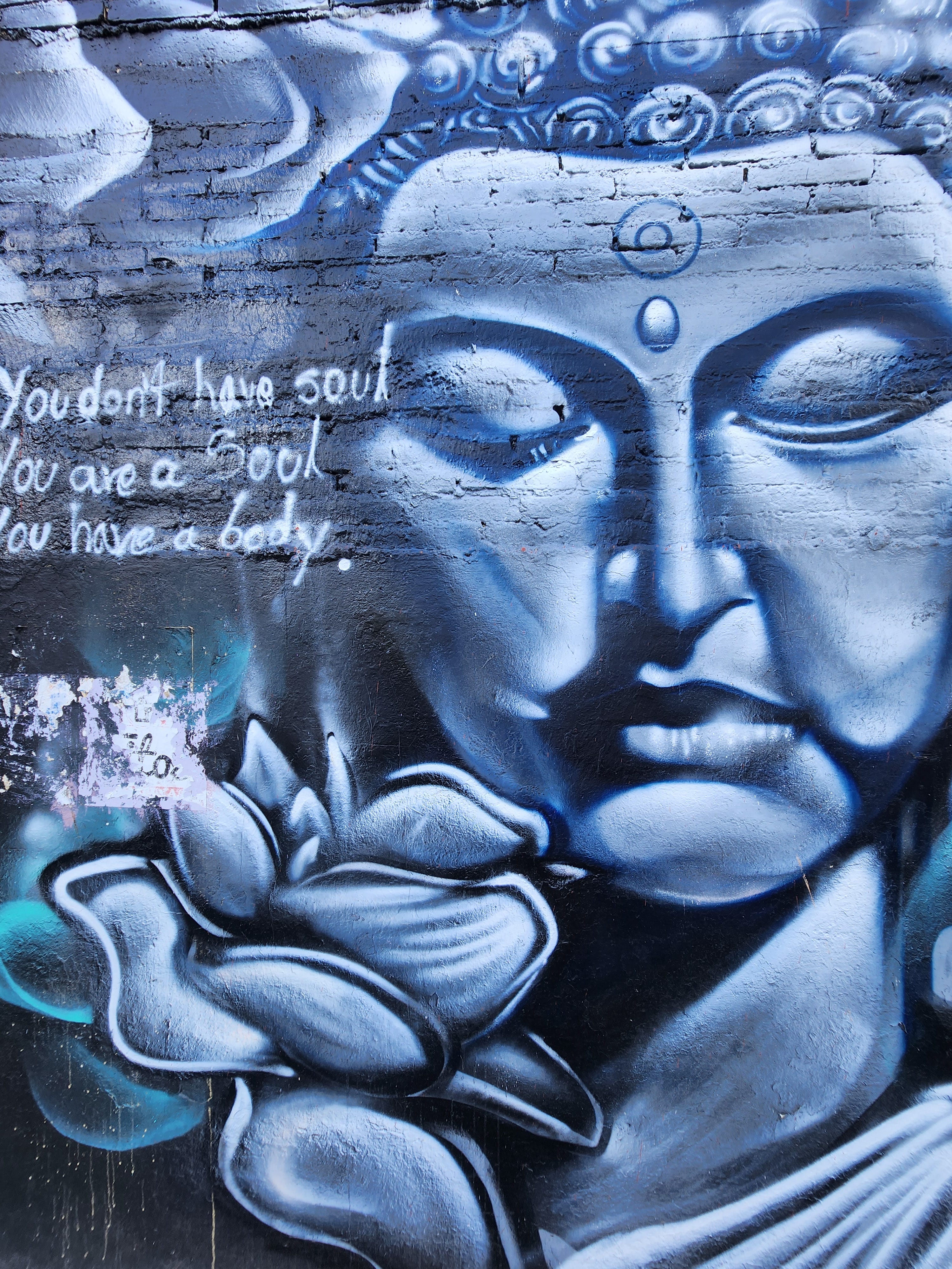 Transhumanism - by Adam Miezio - The Divine Influx