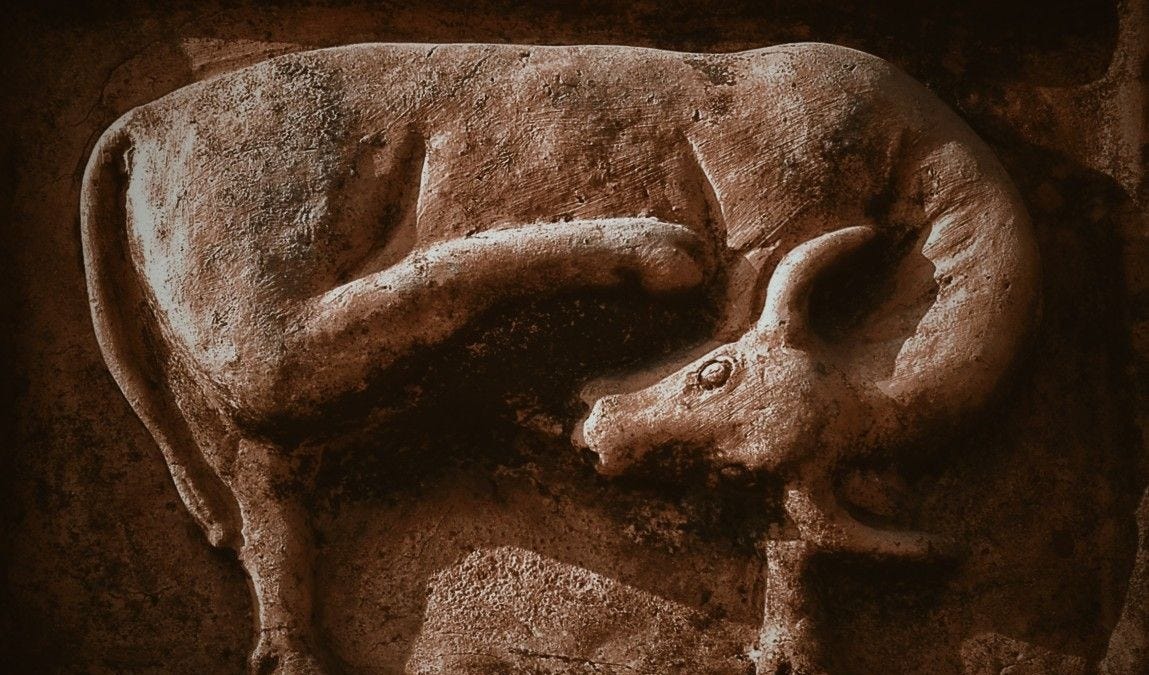 yin earth ox moon January 2026