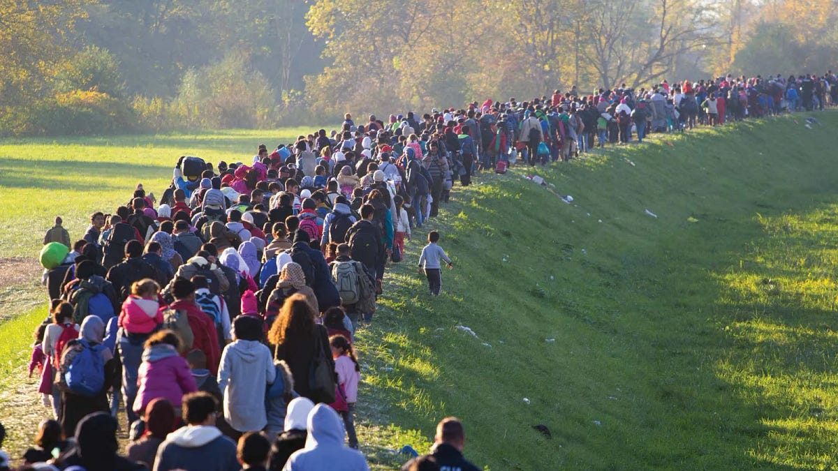 Mass Migration and Economic Reality - Algorithm
