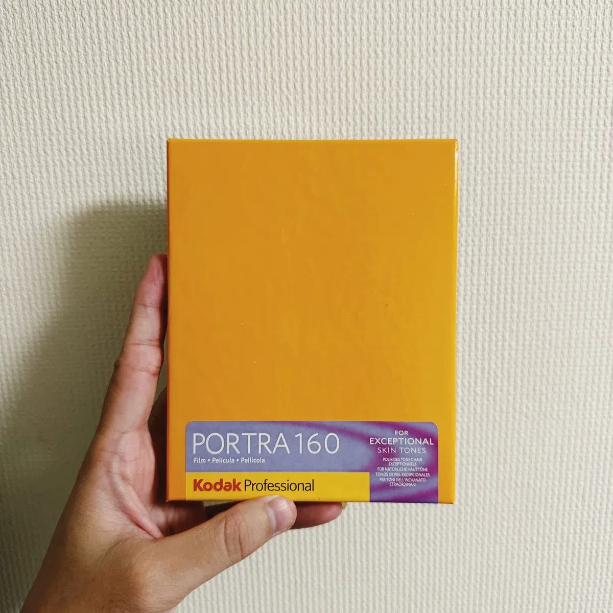 Beginner's Guide to 4x5 Film Photography - by Raufan