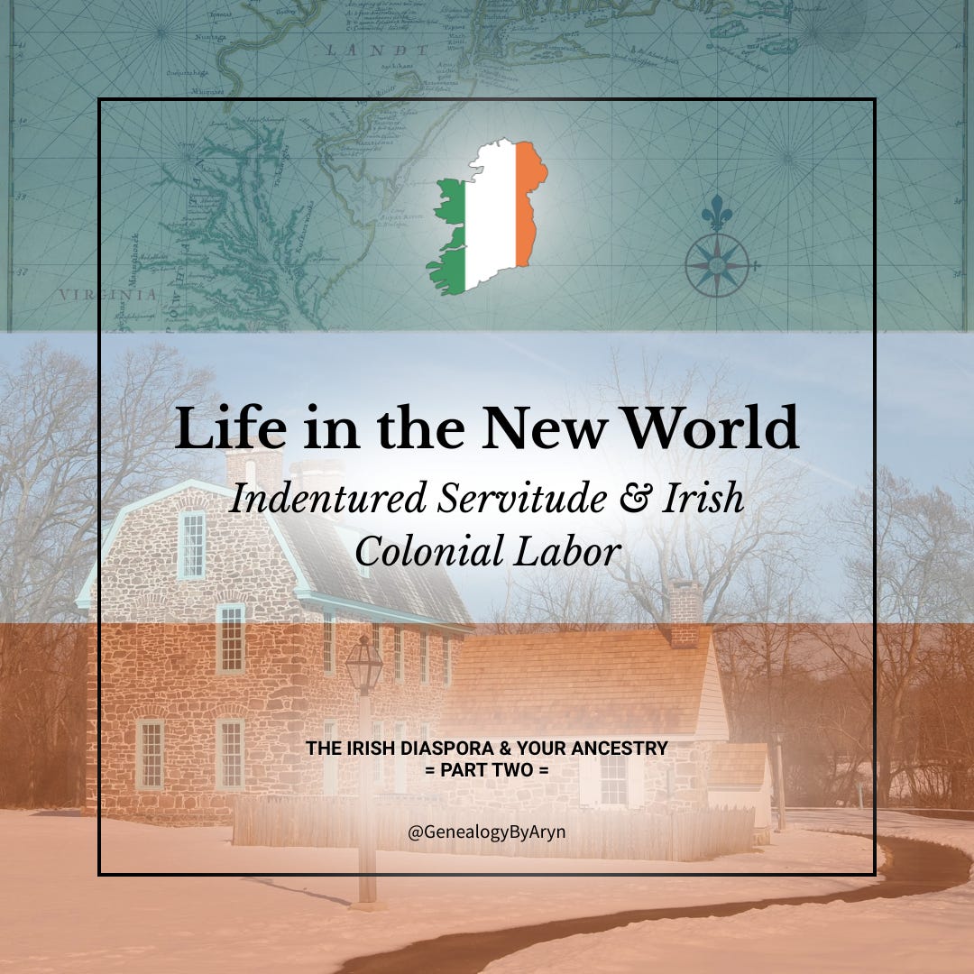 Life in the New World: Indentured Servitude & Irish Colonial Labor