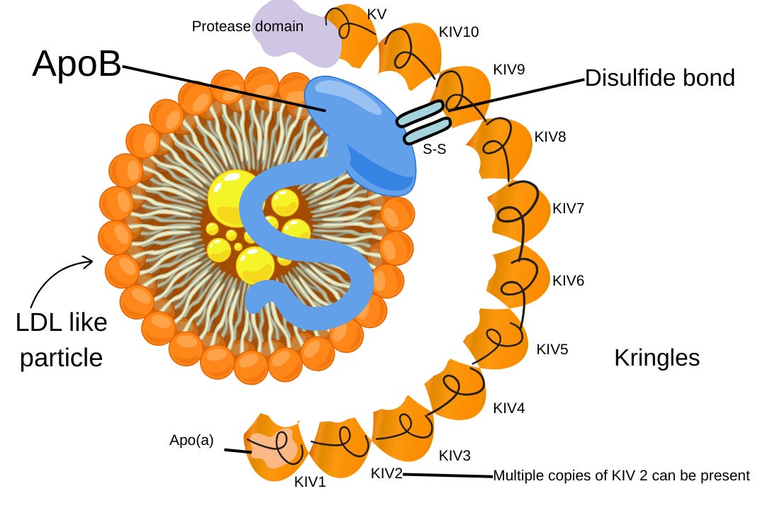 Lp(a) — The Underdog Lipoprotein With a PR Problem