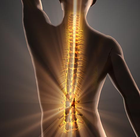 The Emotional Anatomy of Back Pain